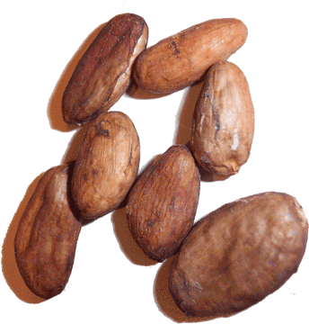 Cacau cru -propriedades