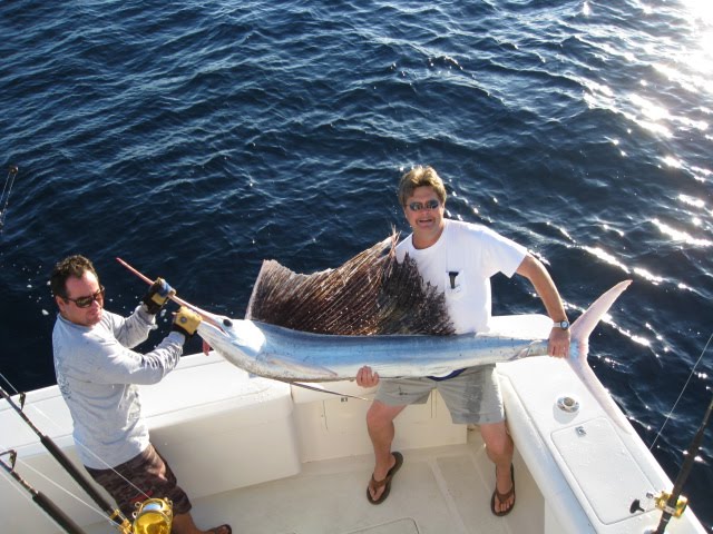 Pisces Fleet Sportfishing Blog: Rare Albino Sailfish Caught on Pisces Boat