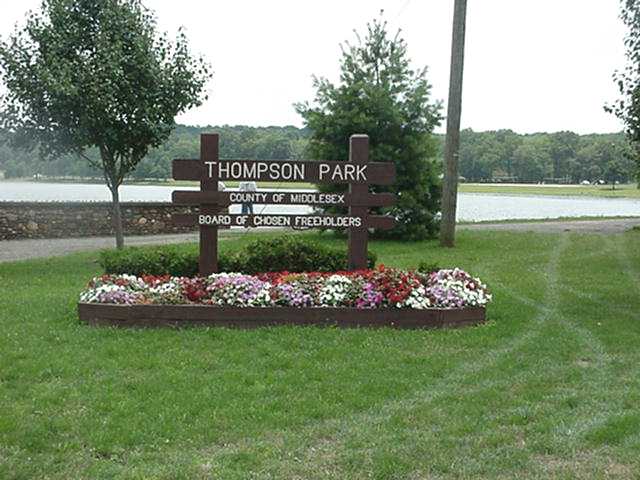 Vultures: Thank You, Thompson park!!! :)