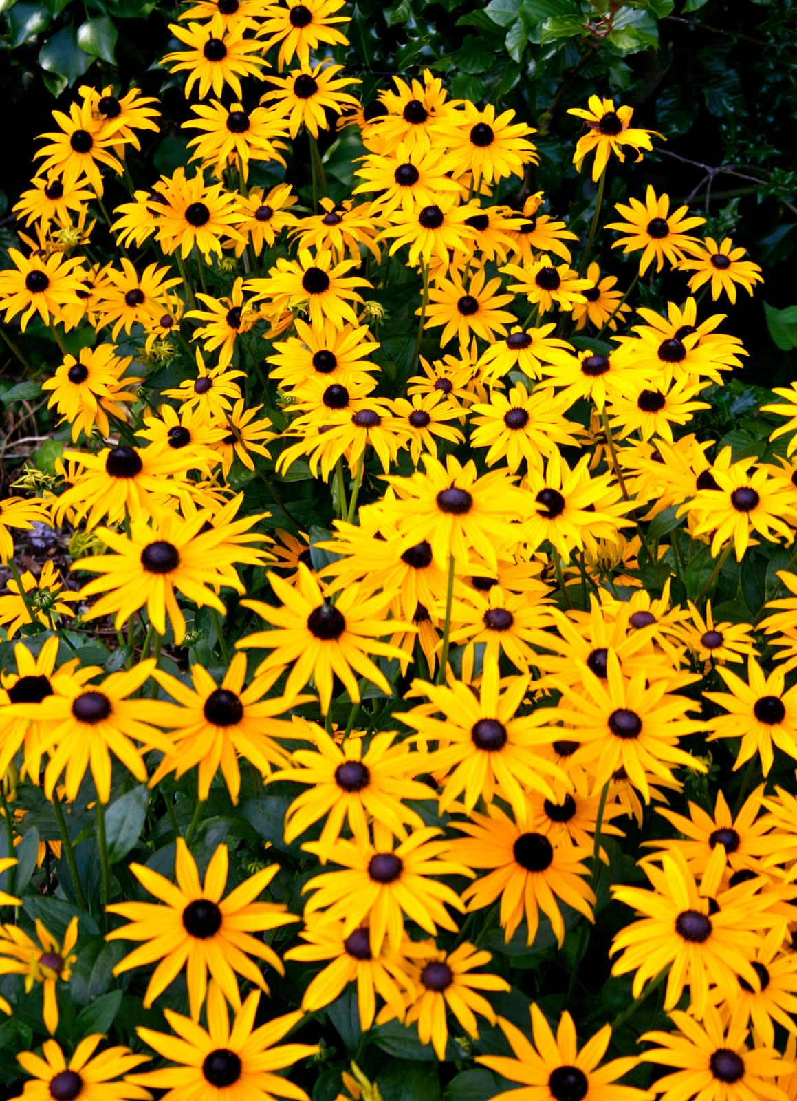 love&lilac: August 2010