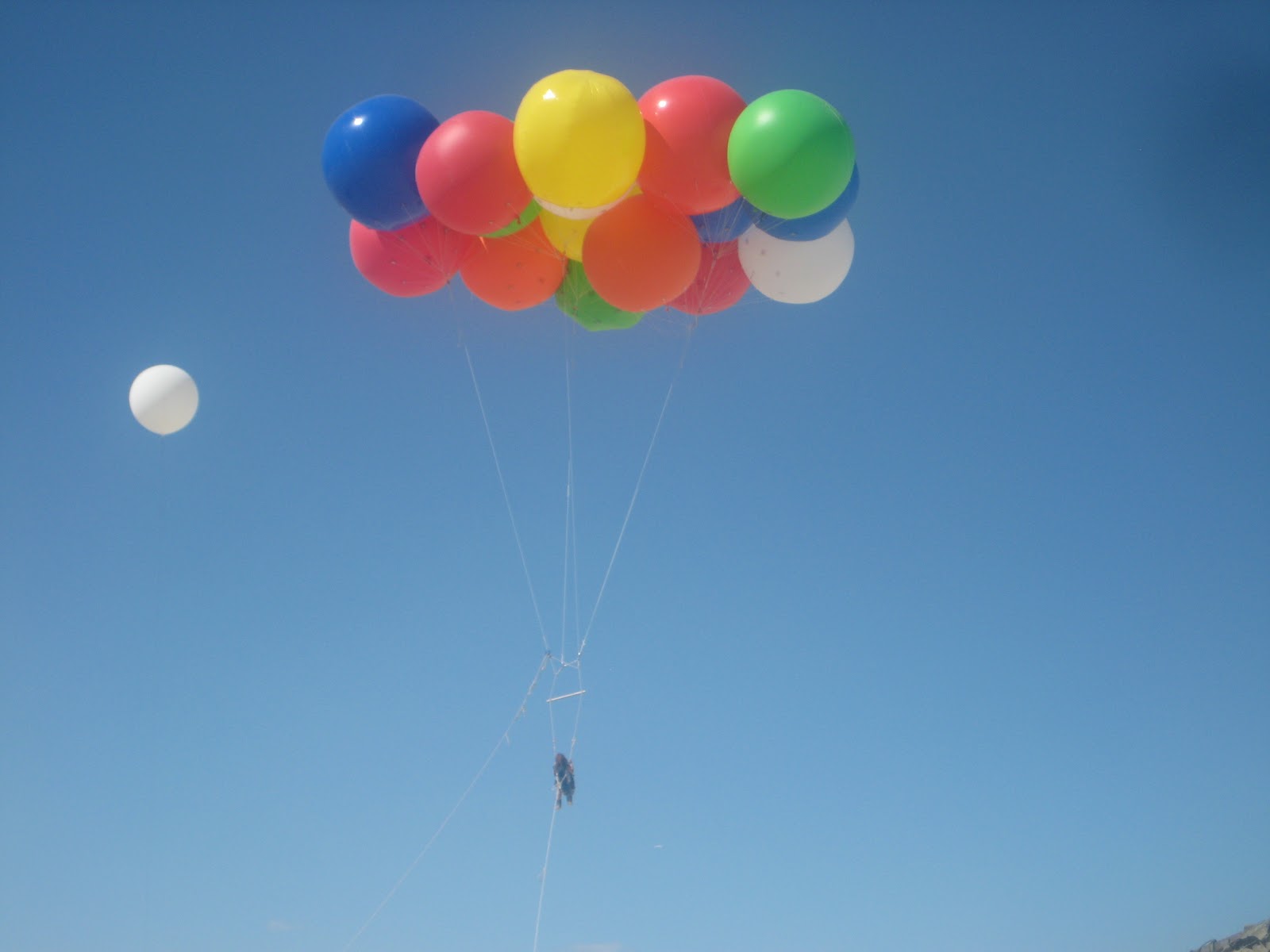 Tailwind: Burning Man 2010