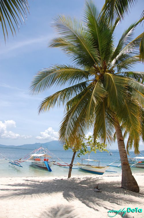 Exploring Pinas: Pandan Island, Honda Bay @ Puerto Princesa, Palawan