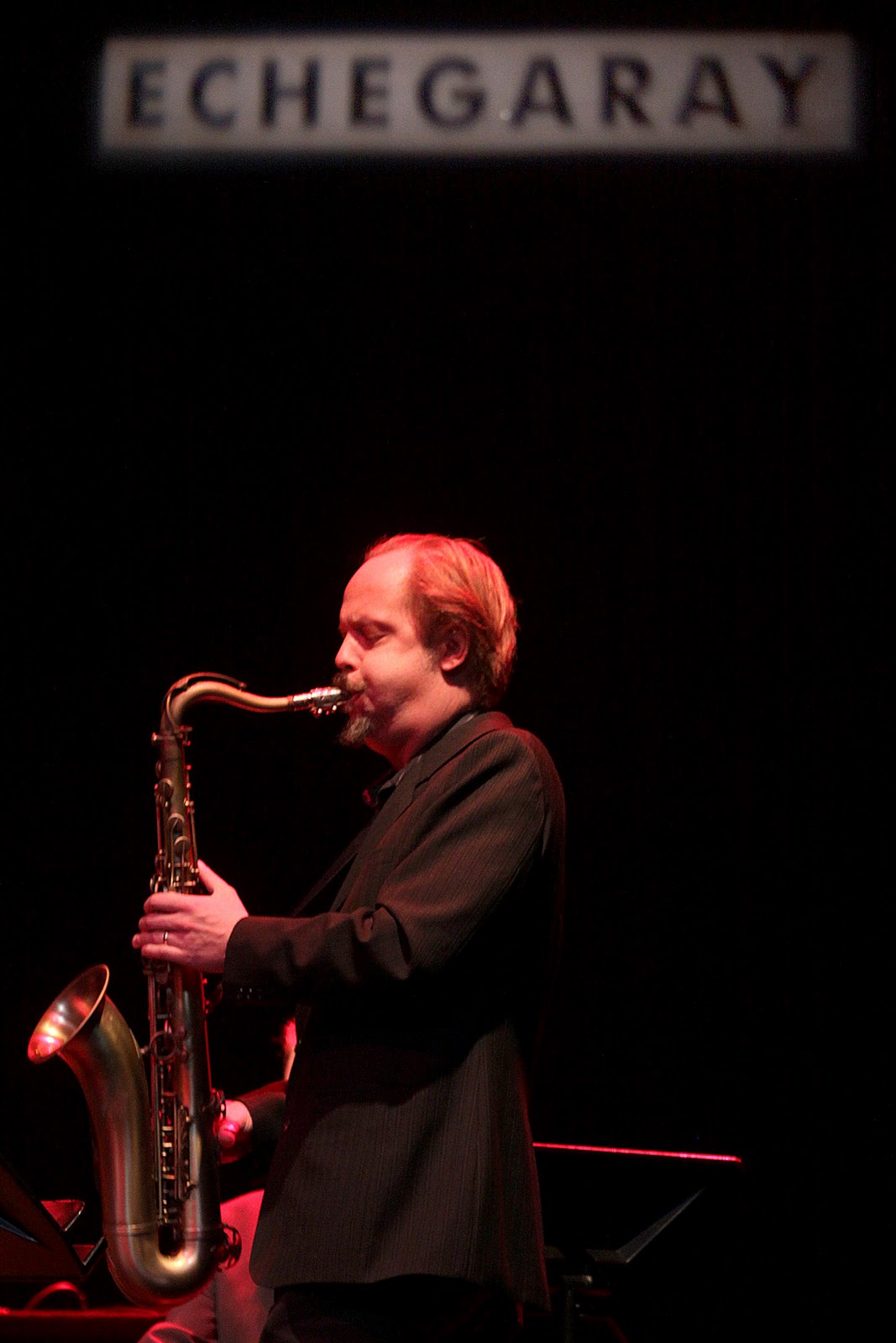 el blog de miyoespectador.com: Ana Cisneros en el XXIV Festival ...