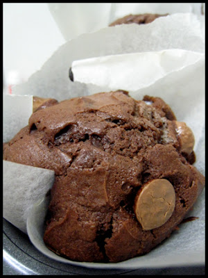 fuizaibing - snippets of life in Brisbane: Hello, Cupcake.