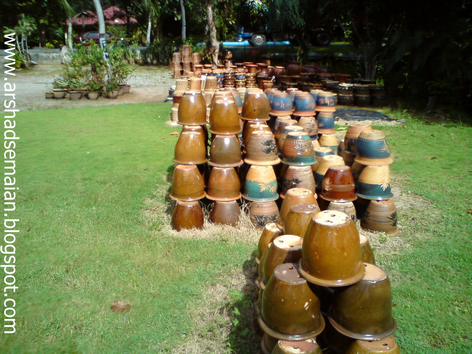 ARSHAD SEMAIAN: pasu bunga