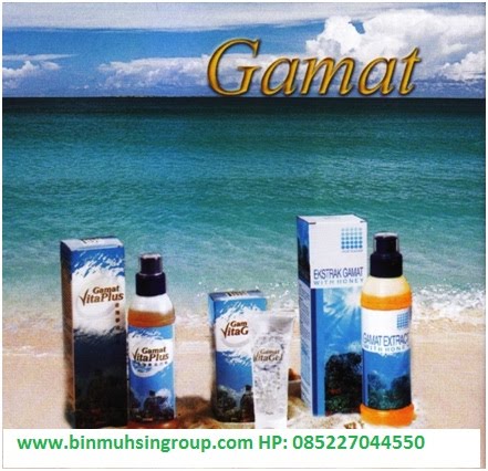 PT K-LINK NUSANTARA: GAMAT