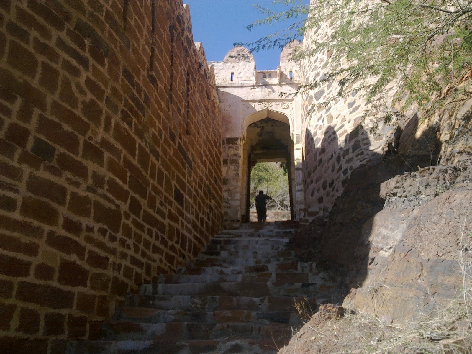 ரைட்பிளஸ் (Right plus): Siwana Fort Rajasthan