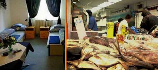 small crappy apartment 2015 new