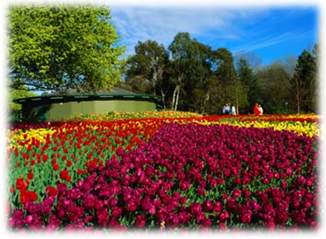 Canberra Parks & Lakes
