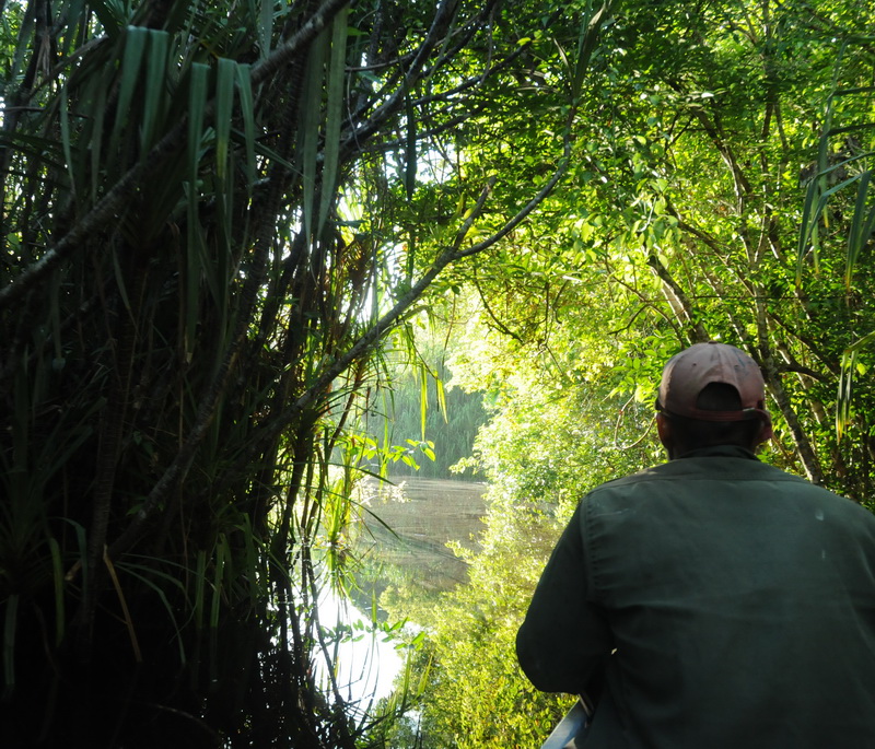 A Wandering Naturalist: Sarawak: Maludam - Three Men in a Boat