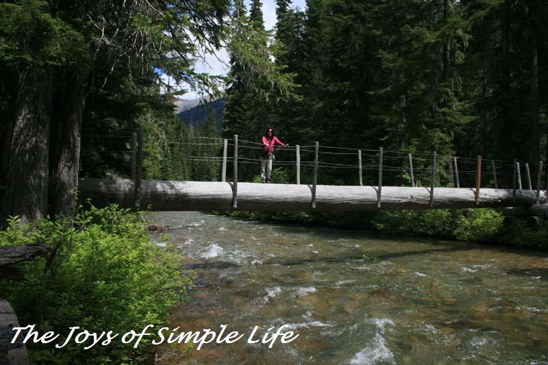 The Joys of Simple Life: Easy Pass Trail, North Cascades National Park