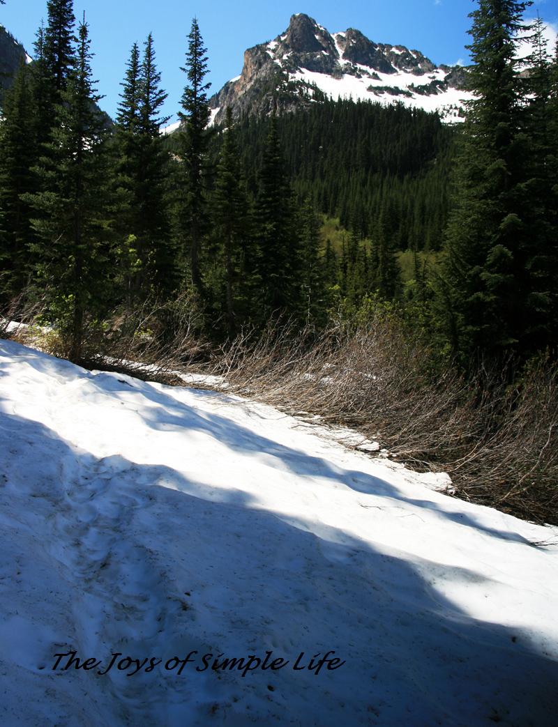 The Joys of Simple Life: Easy Pass Trail, North Cascades National Park