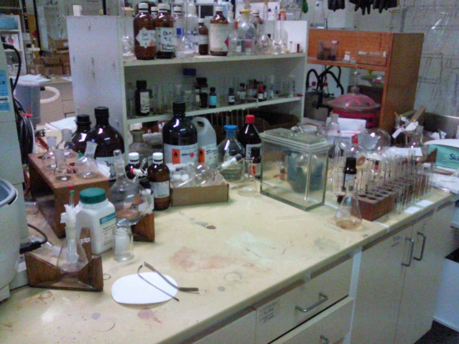 Laborarbeit in Australien | Down Under