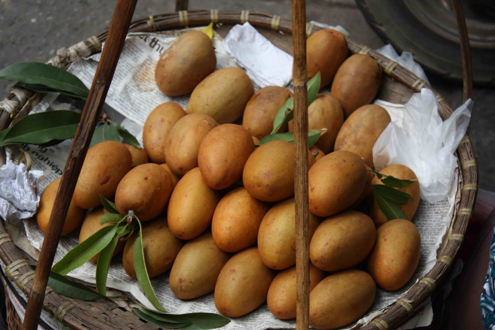 The World Tastes Good: Some local and imported fun on Truc Bach