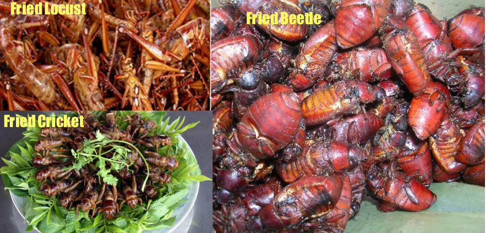 Top 12 Pinoy Exotic food ~ Time to Laugh