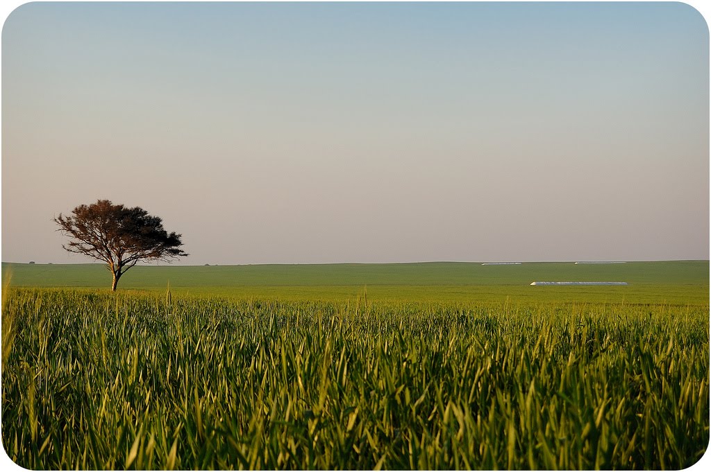 Aprendiendo Biología: Pradera