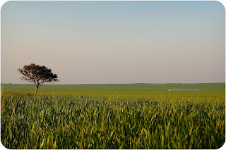 Aprendiendo Biología: Pradera