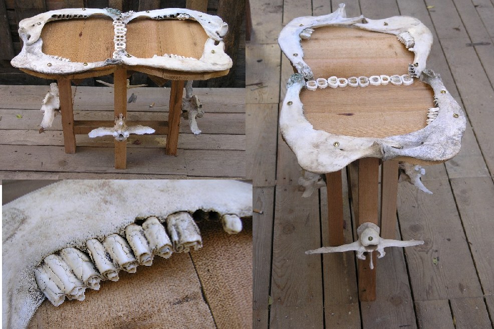 Phoenix Commotion: Bone Furniture, Part III