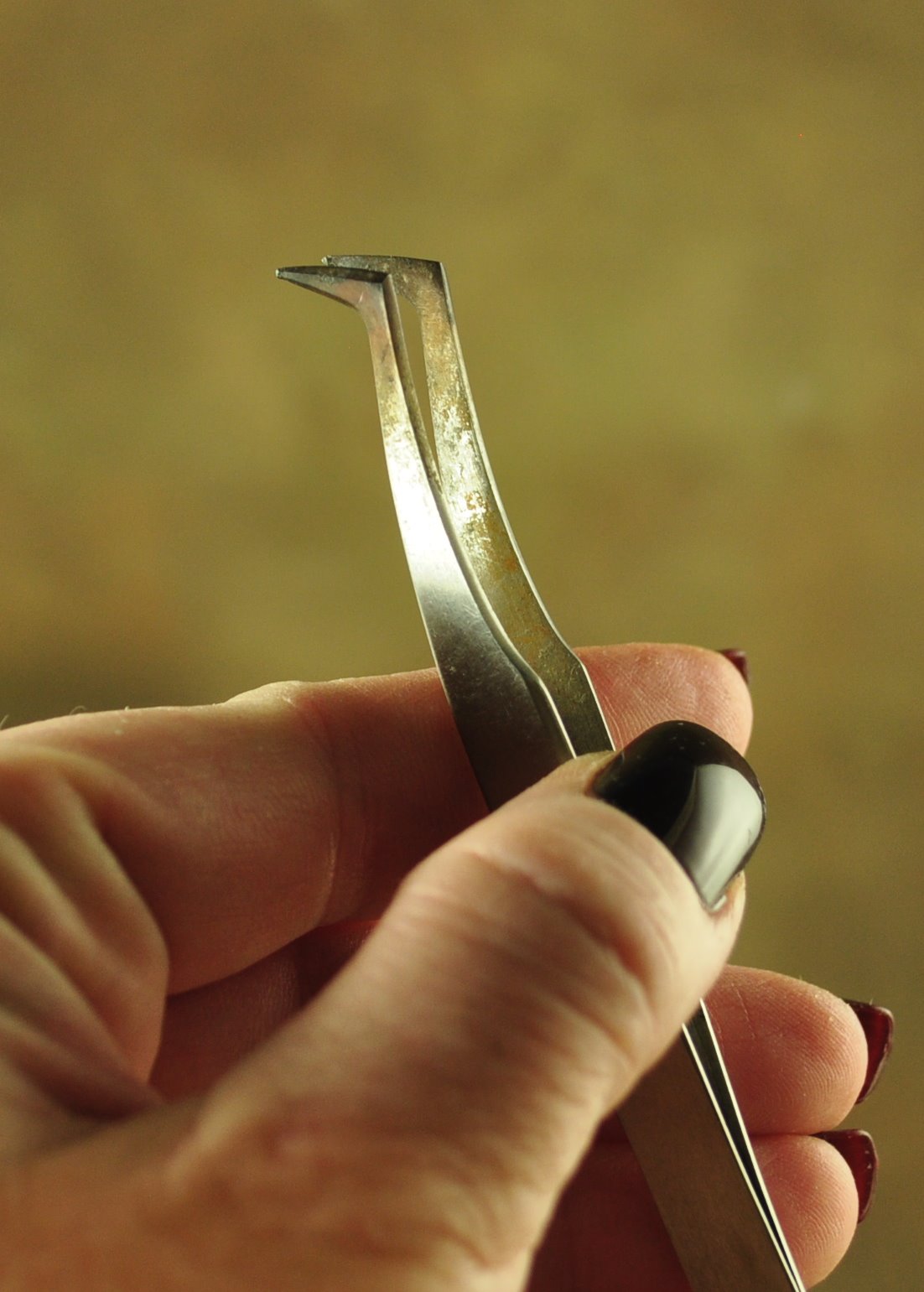 DragonJools: Favored Tools: Duckbill Tweezers