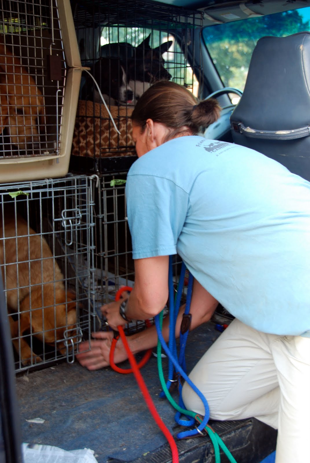 North Carolina Rescue