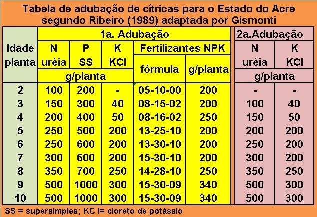 NA SALA COM GISMONTI Assuntos sobre Agronomia: Adubação da Citricultura ...