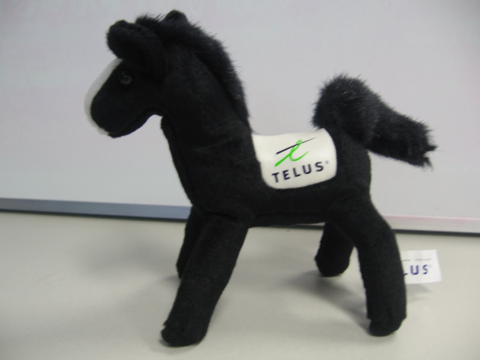 TELUS CRITTER BLOG: Spruce Meadows TELUS Critters