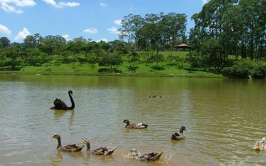 Parque do Carmo: “DESCOBRINDO A HISTÓRIA DO PARQUE DO CARMO”