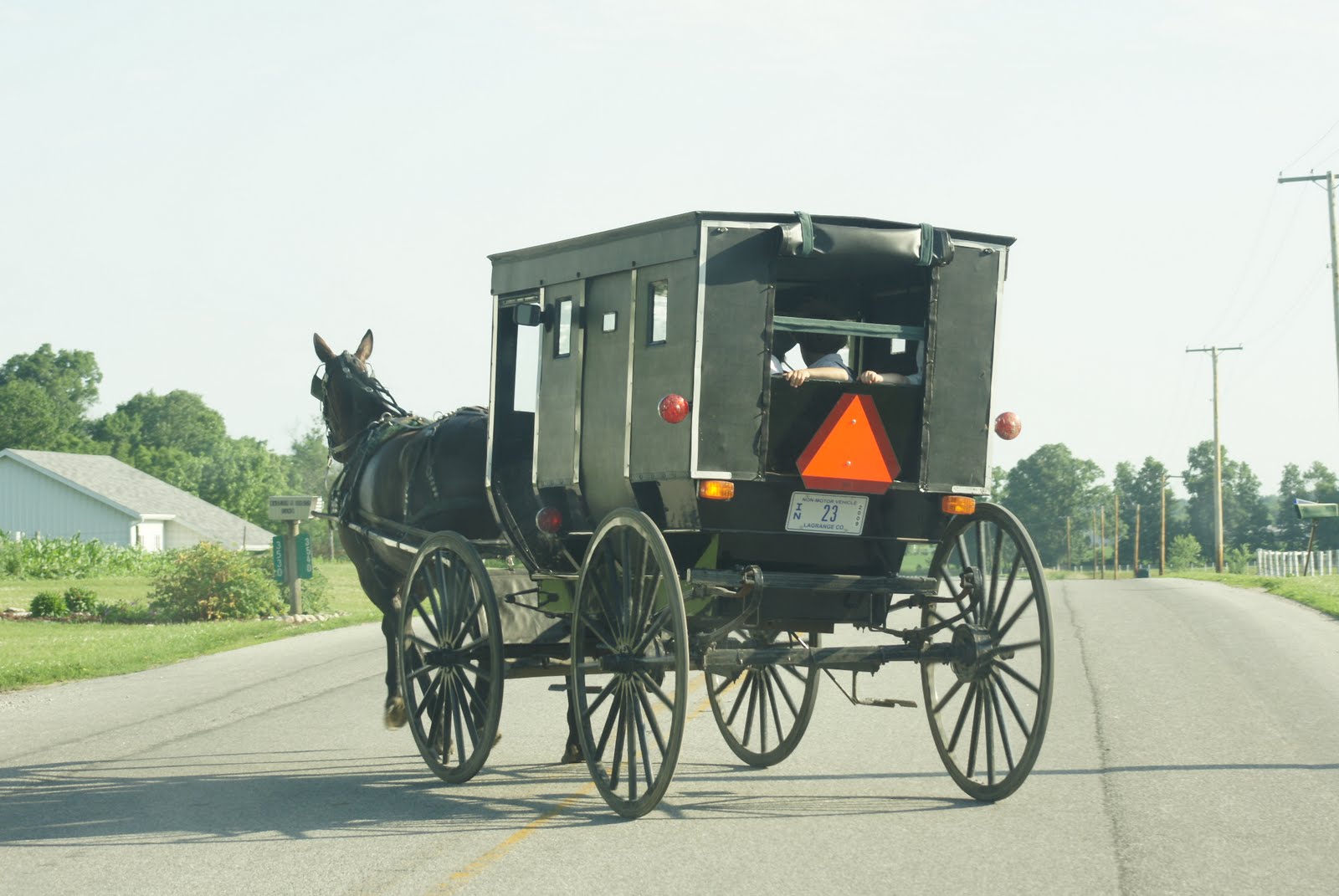 All things Amish