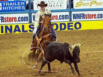 Newz From The Castle :: The Southern Jewlz Blog: Branching into the ...