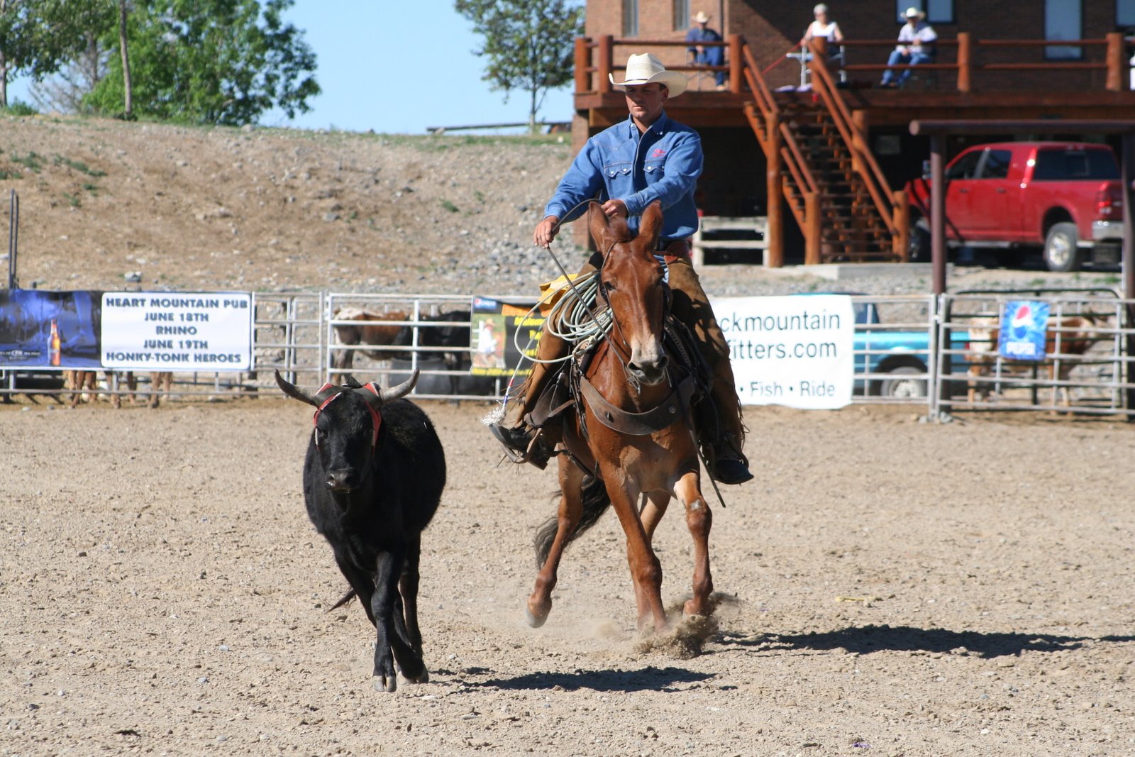 PairADice Mules: Jake Clark Ranch Competition