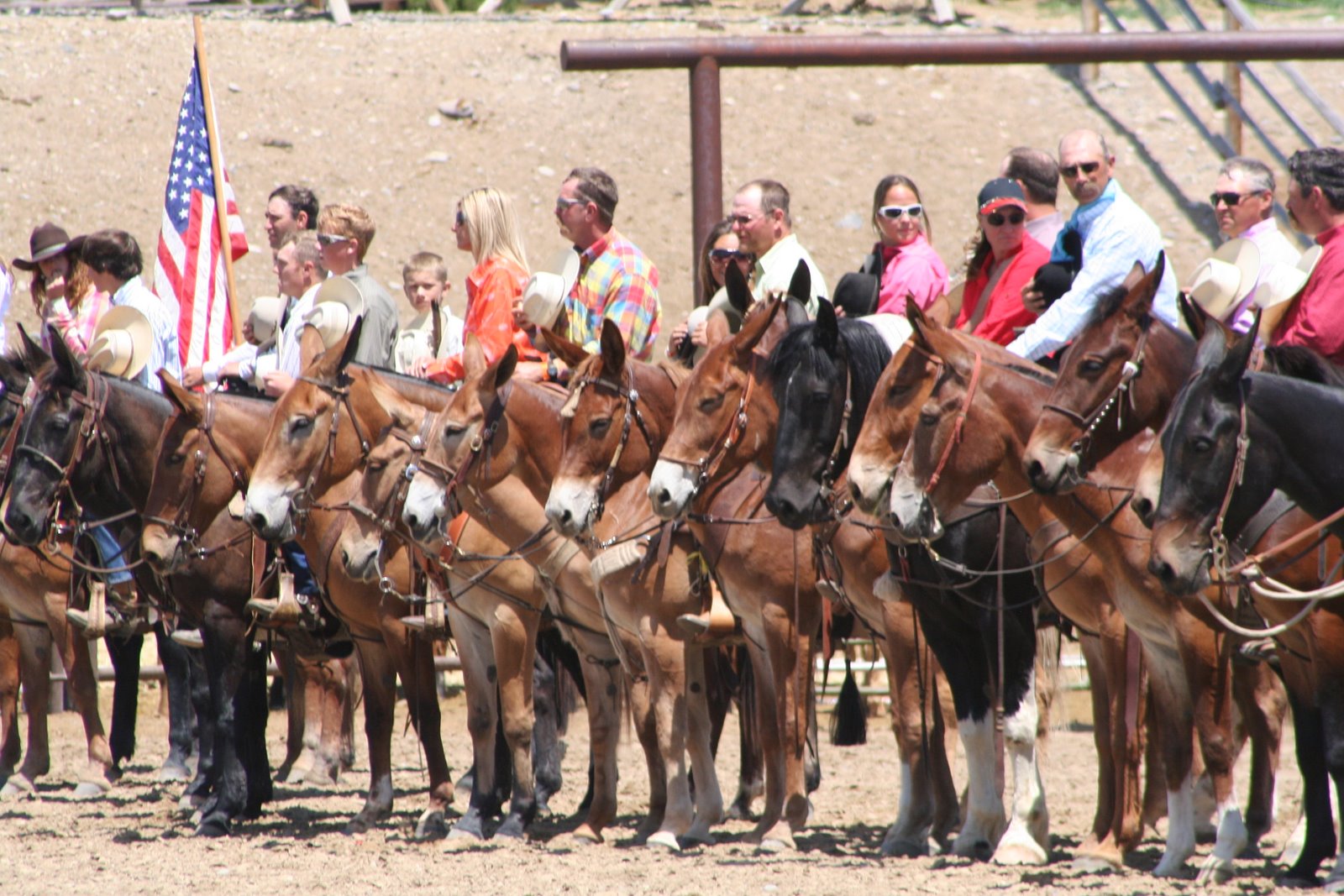 PairADice Mules: Scenes from Jake Clark Rodeo
