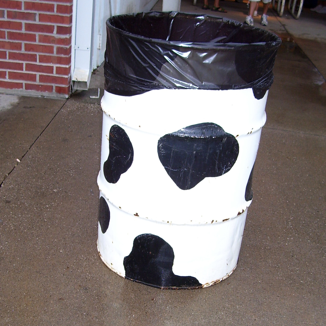 Under the Desert Sky: Reminiscing about the 2010 Iowa State Fair, Part I