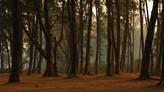 RAKeSH: Parnkuti - Alibag