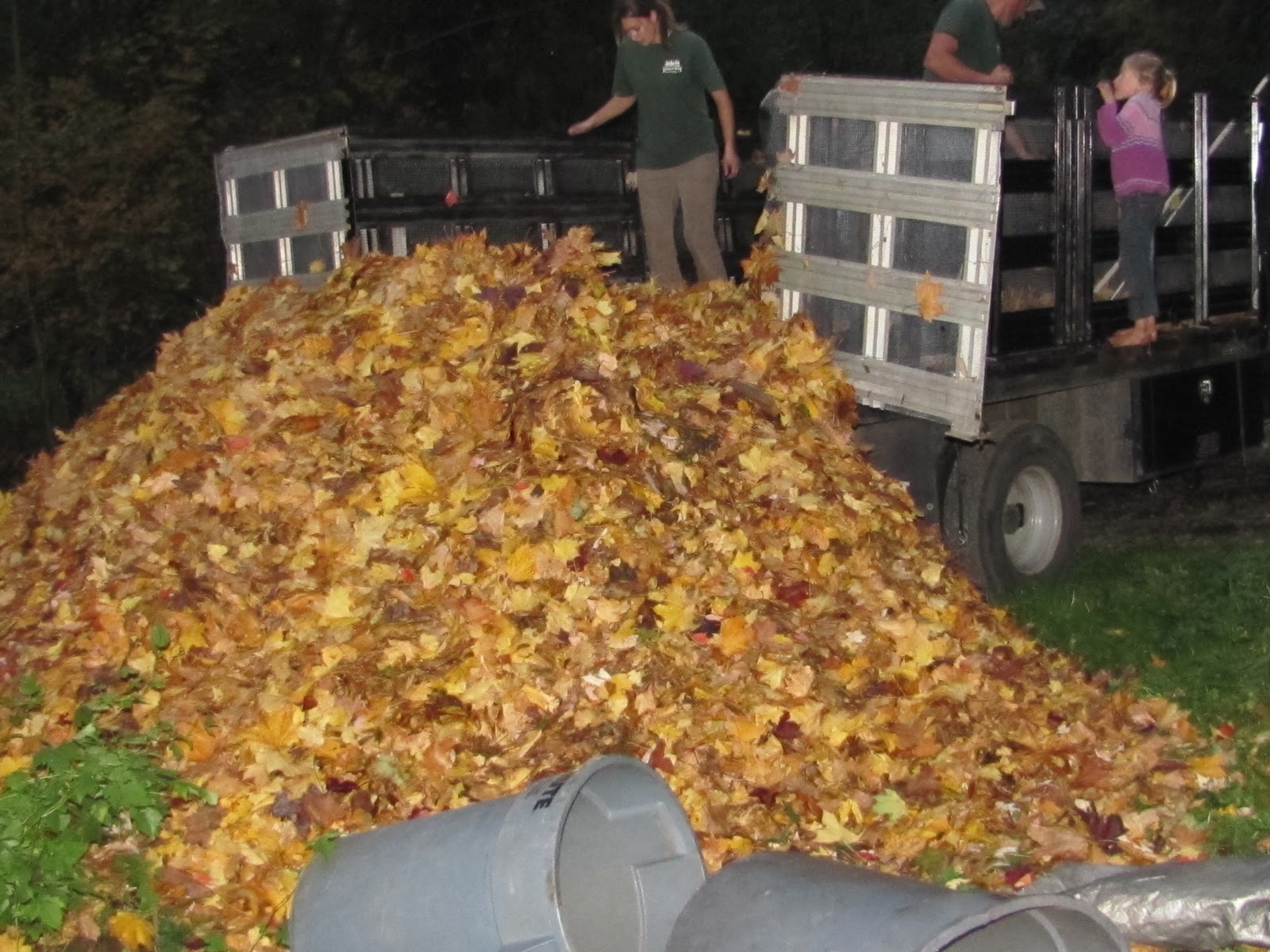 Koch Family News: HUGE leaf pile