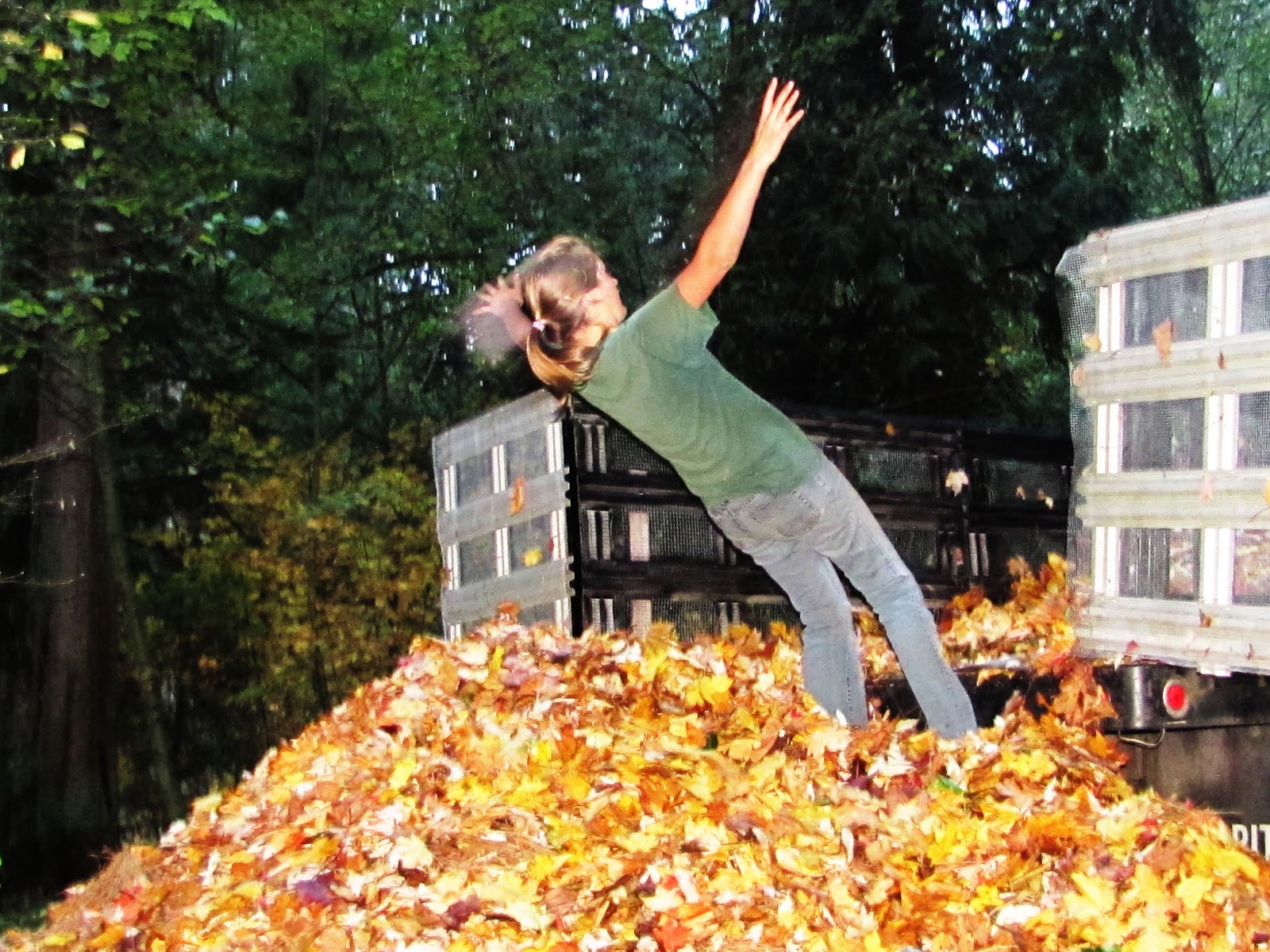 Koch Family News: HUGE leaf pile
