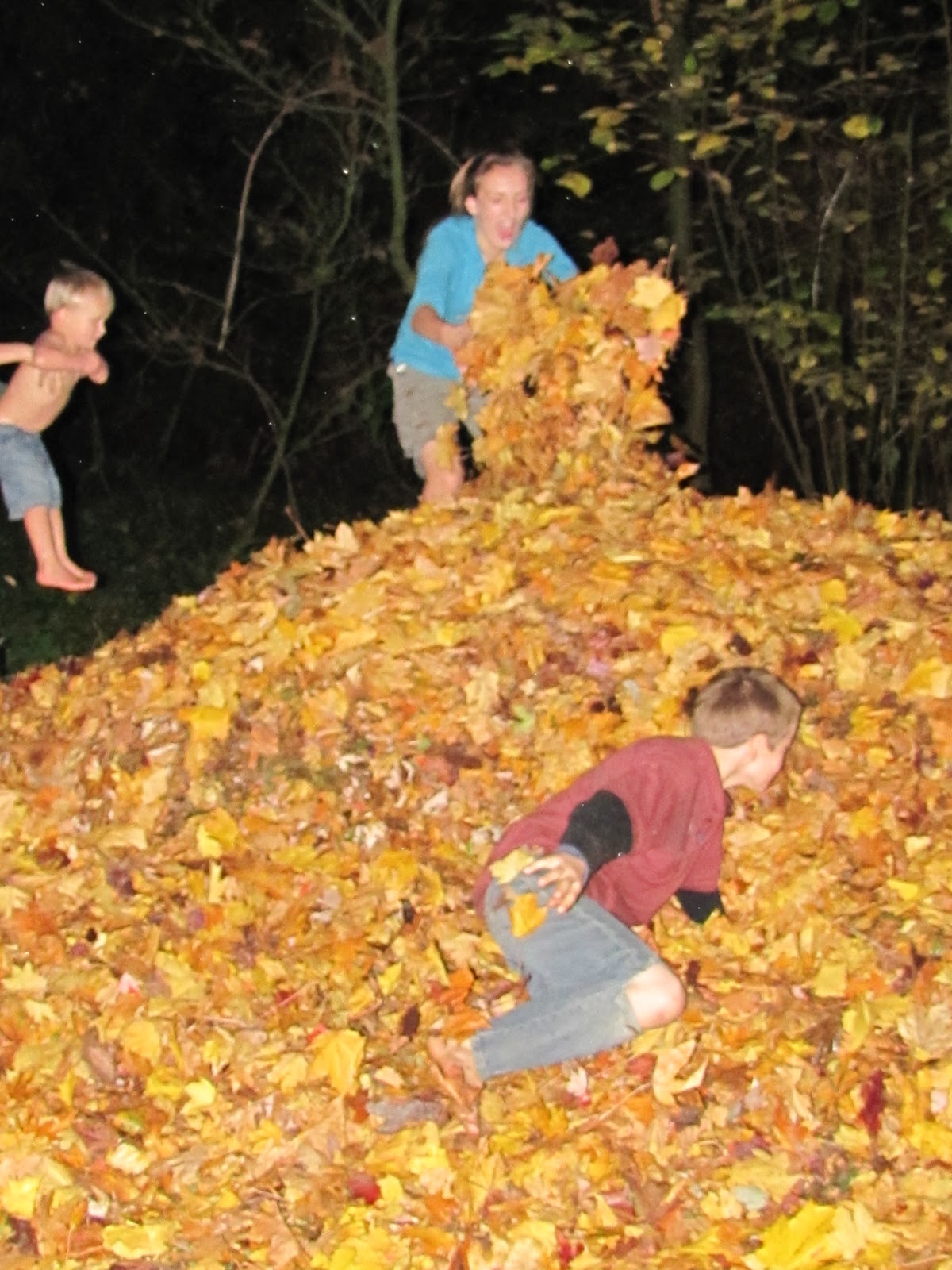 Koch Family News: HUGE leaf pile