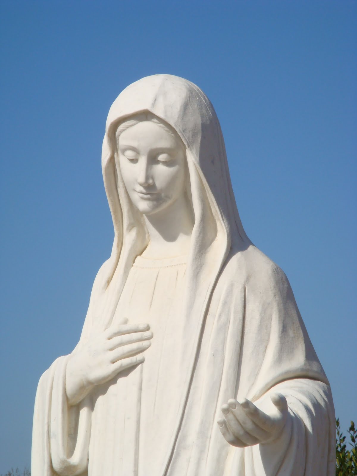 DIÁCONO JORGE NOVOA: TRIBUTO EN HONOR DE MARÍA REINA DE LA PAZ