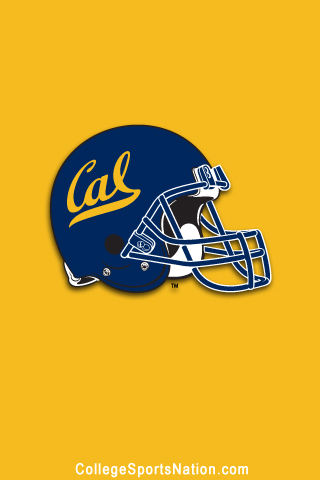 Gorgeous Ponderings...: GO BEARS!!!