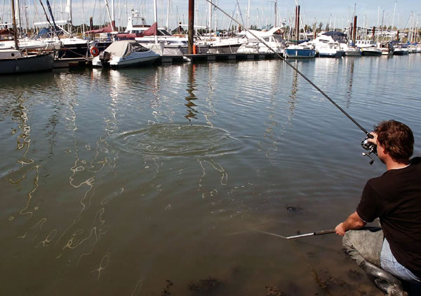 How to Get Started Estuary Fishing for Beginners ~ Tacklebargains ...