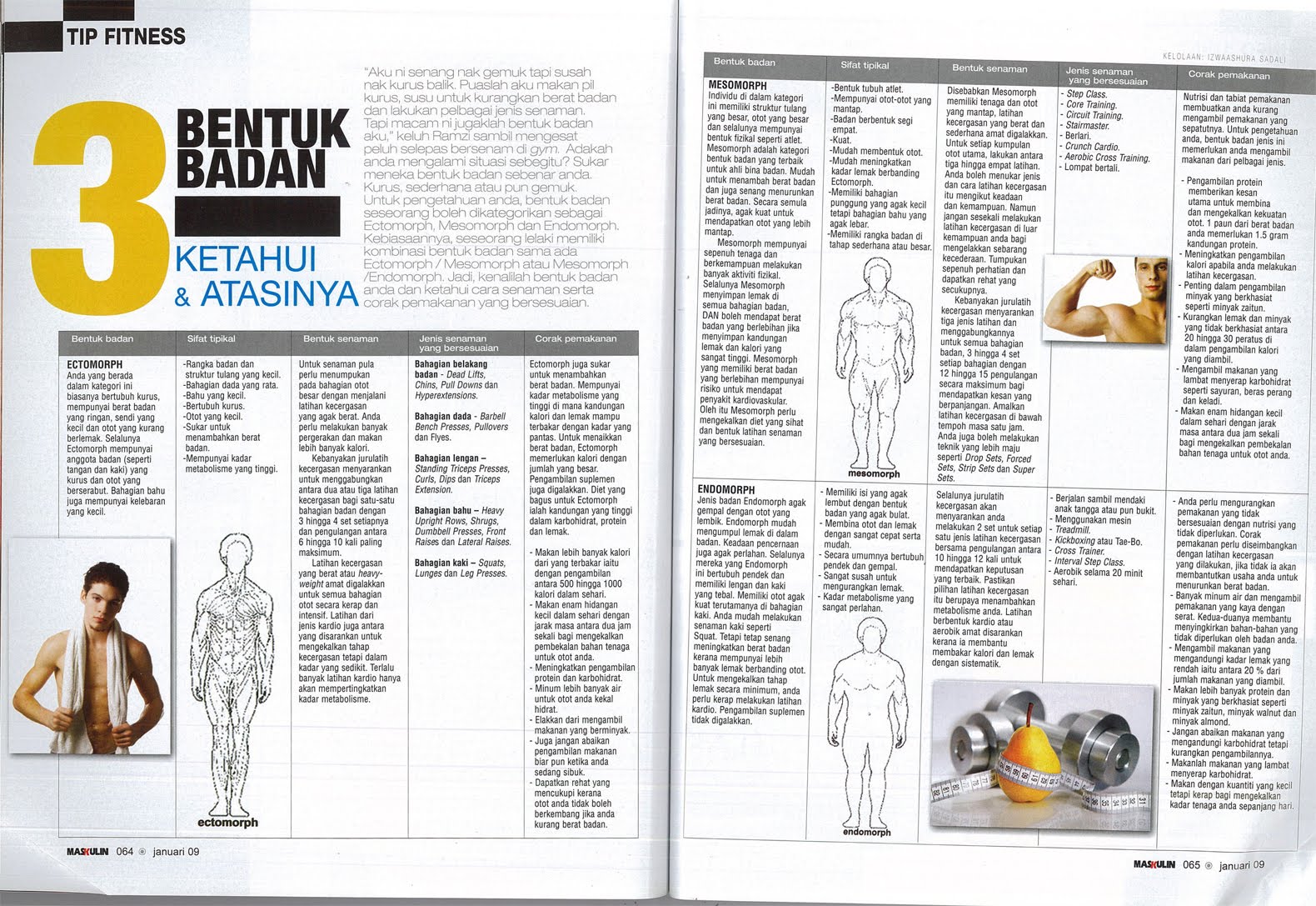 ZERO to HERO: BENTUK BADAN (ECTOMORPH,MESOMORPH & ENDOMORPH)