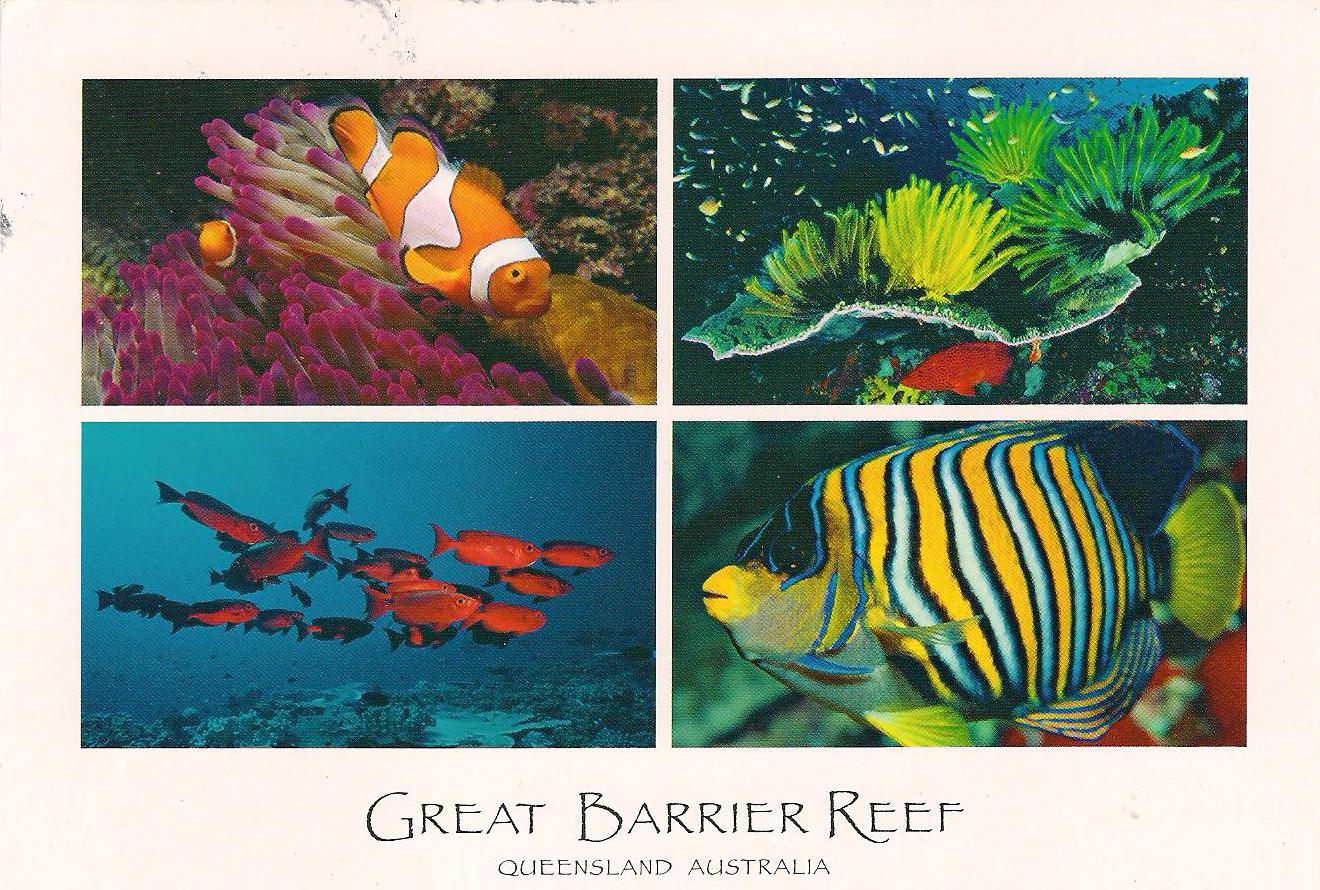 MY UNESCO WHS POSTCARDS COLLECTION: AUSTRALIA - Great Barrier Reef