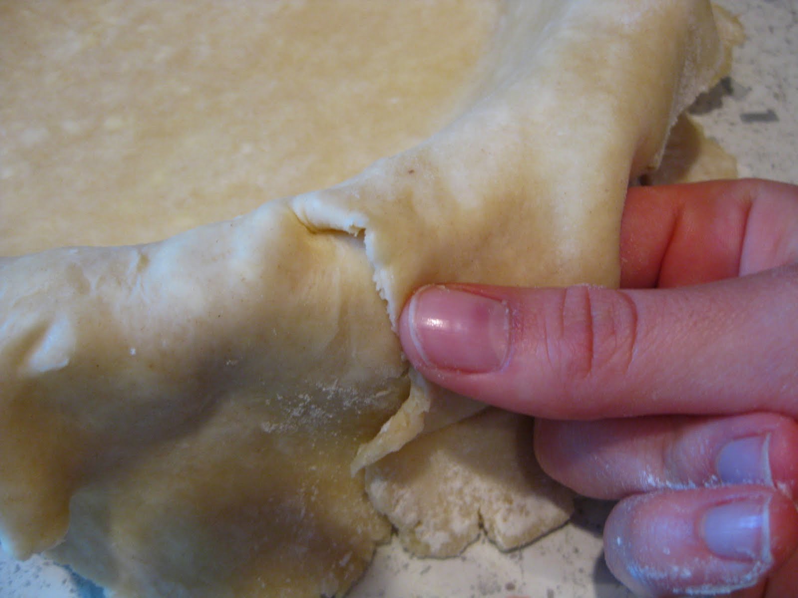 The Redwall Cook: Basic Redwall Recipe: Pie Crust