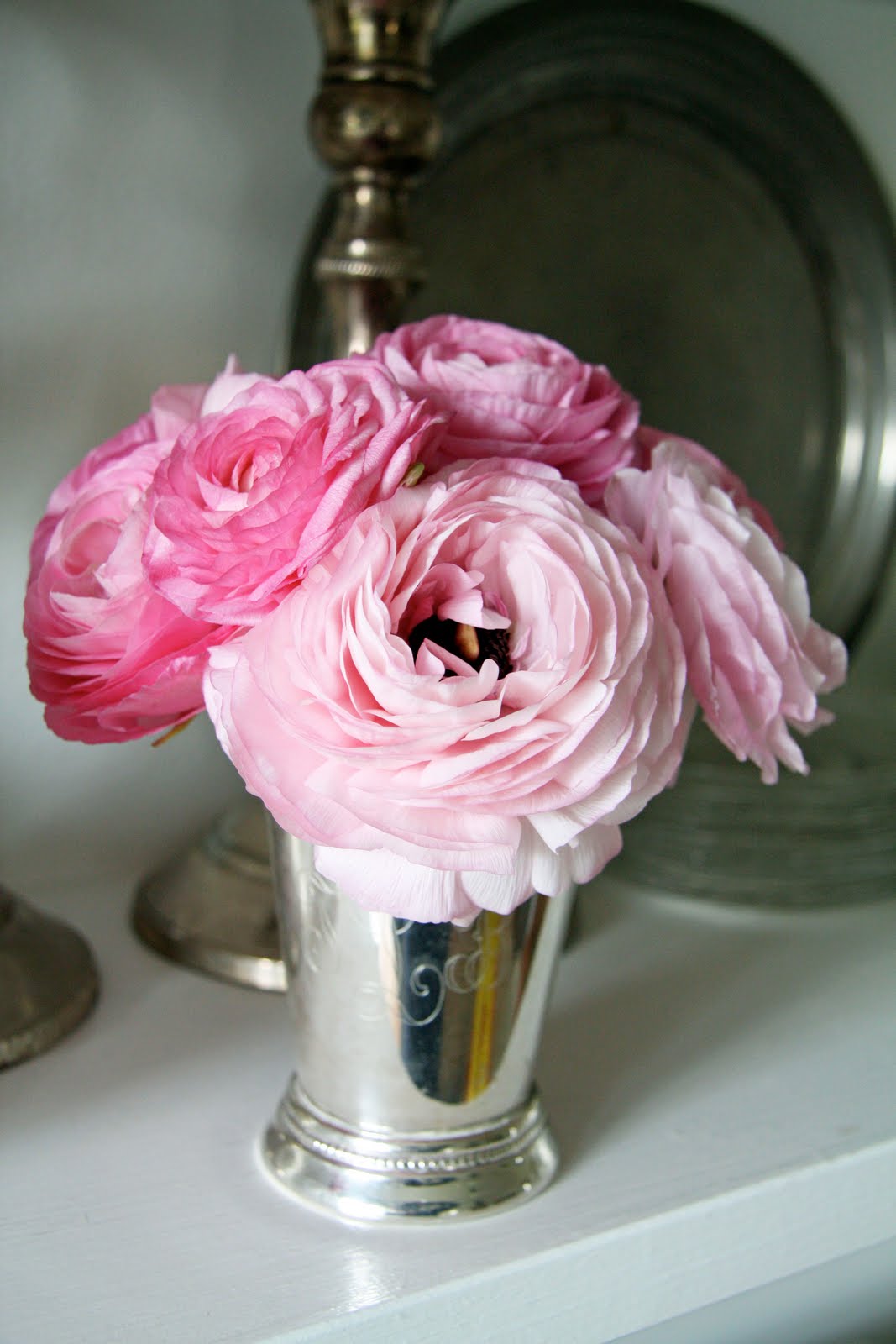 In the Fields : Pink, Silver and White