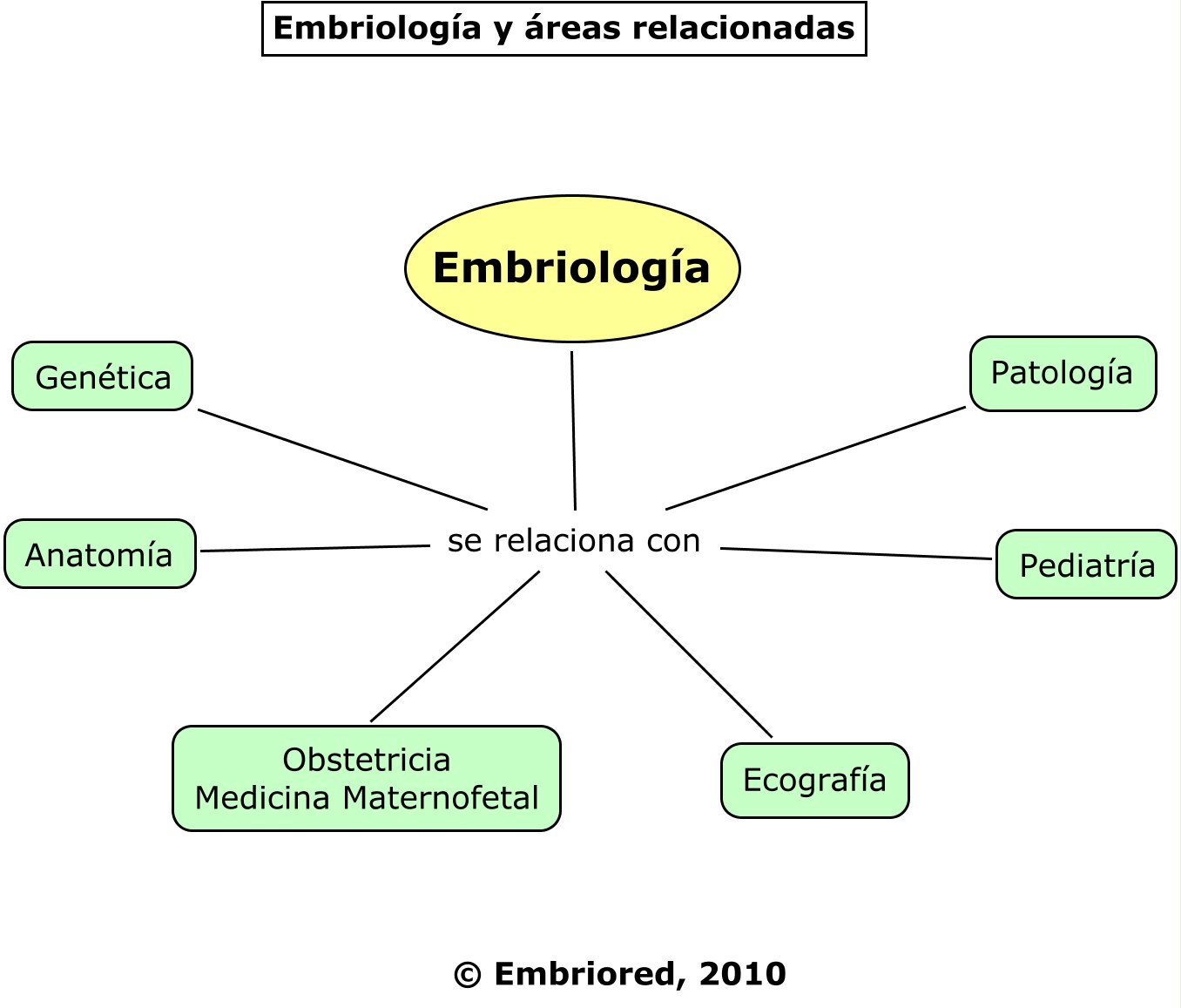 Embriored: Embriología y su Importancia