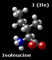 Rendi BloGsPot: BIOKIMIA PROTEIN