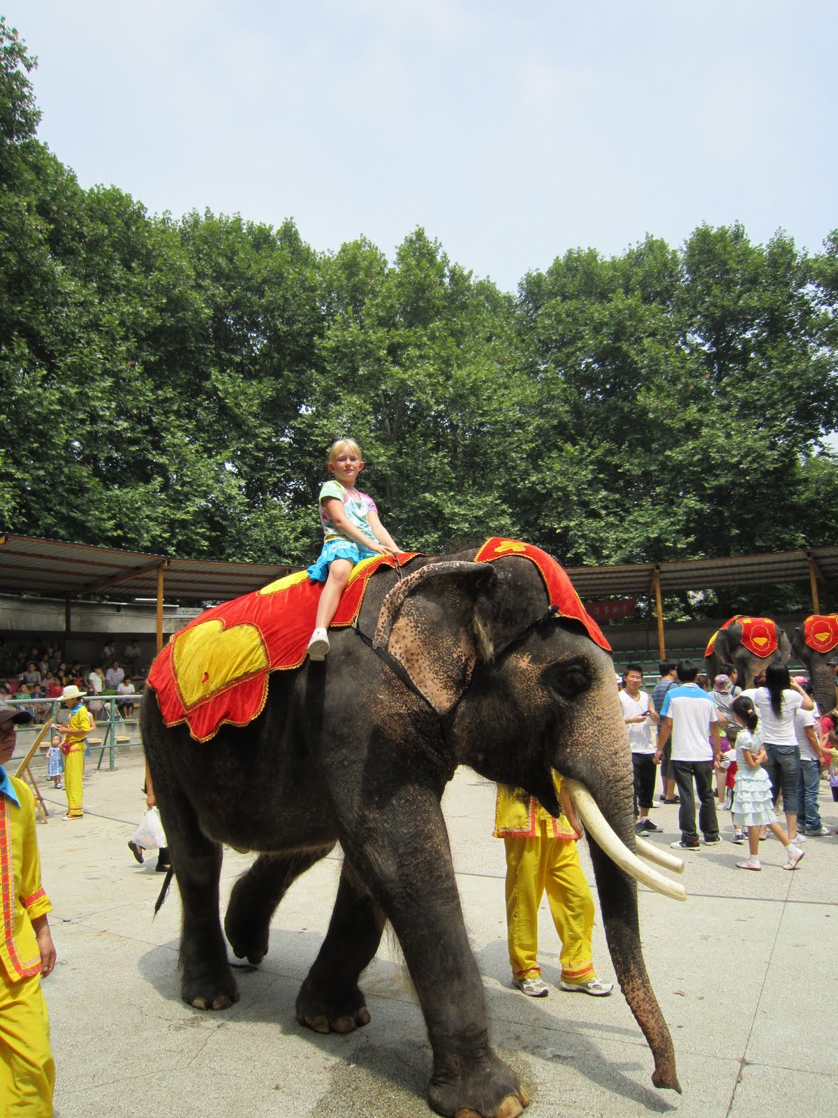 China Blog: Dancing Elephants