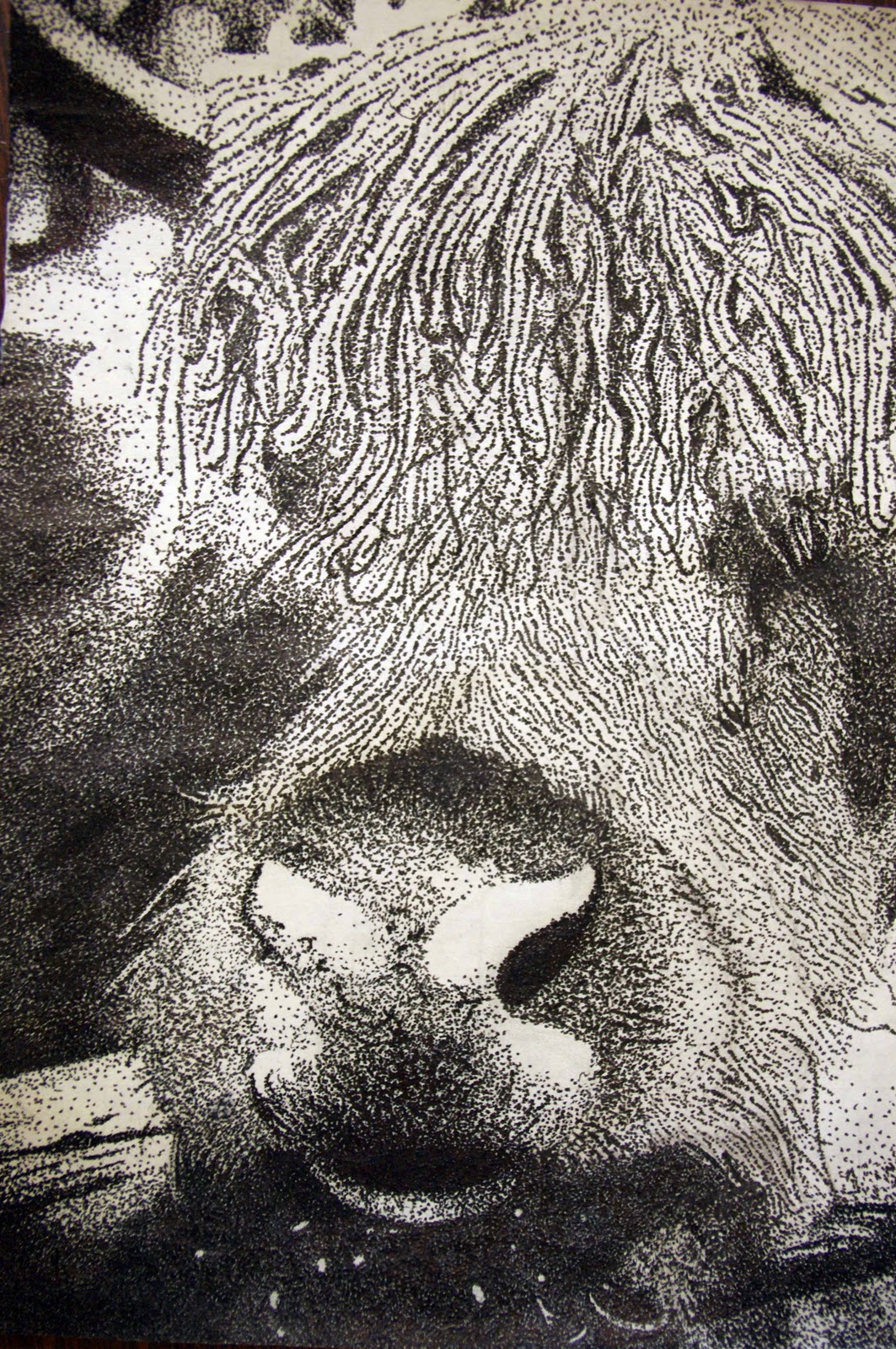 art @ the heart: Grade 9-10 Stipple Animals