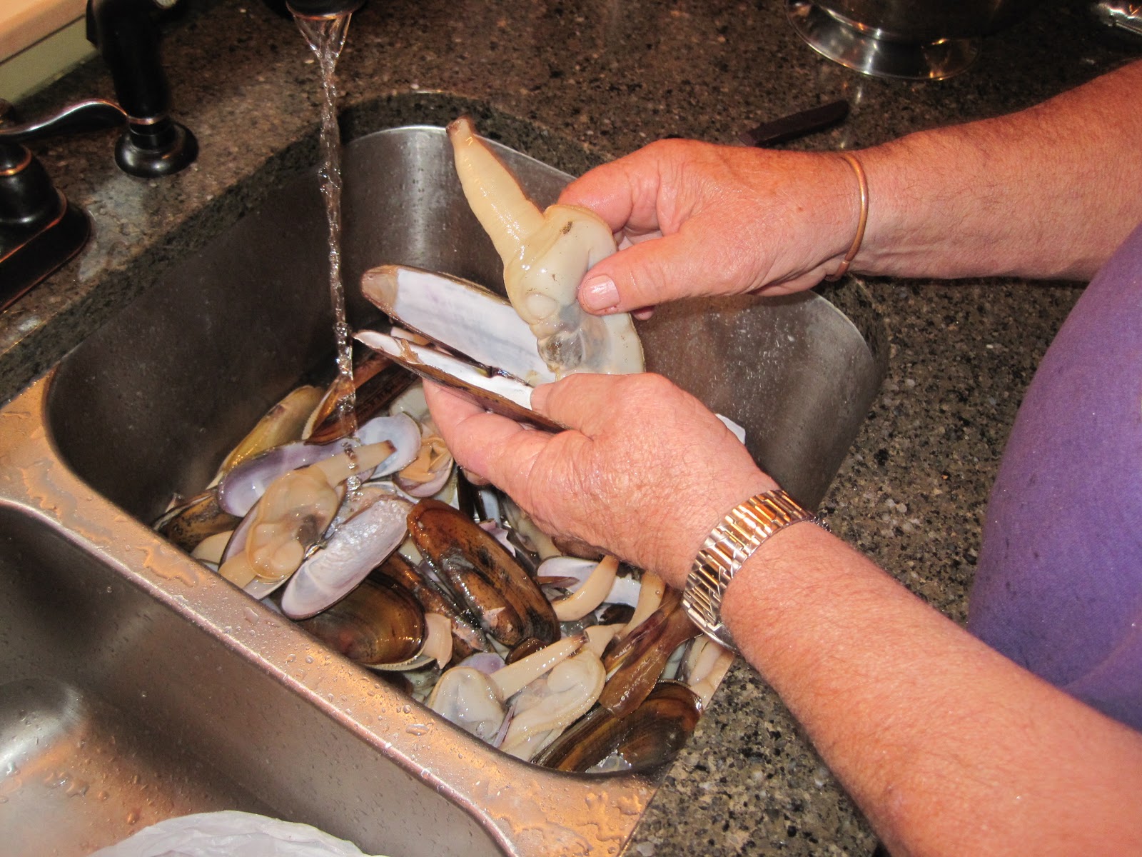 Bound By the Seasons.: The Art of Razor Clam Digging.