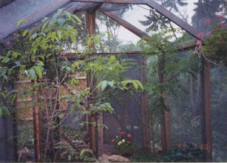 Absolutely Adorable Lovebirds: Suitable Plants and shrubs in Your ...