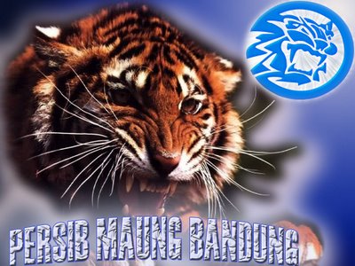 persib maung bandung